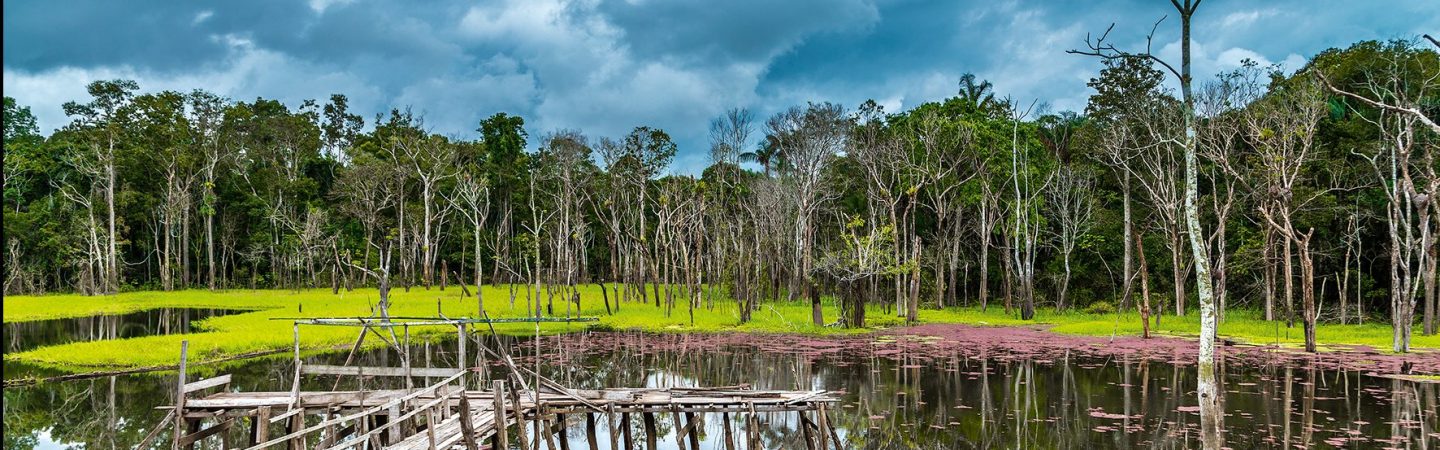 Mato Grosso, Brazil - IDH - the sustainable trade initiative