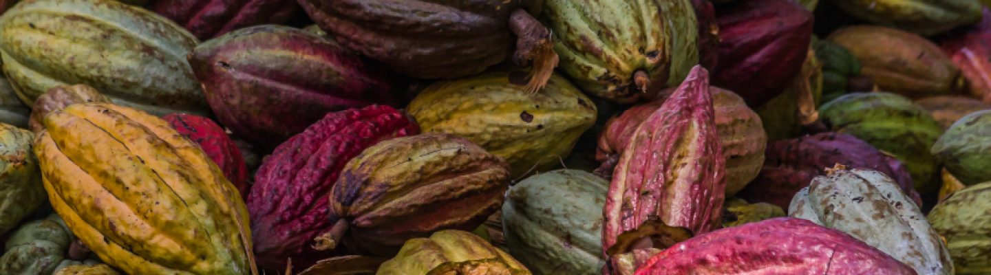 Cocoa & Forests Initiative - IDH - the sustainable trade initiative