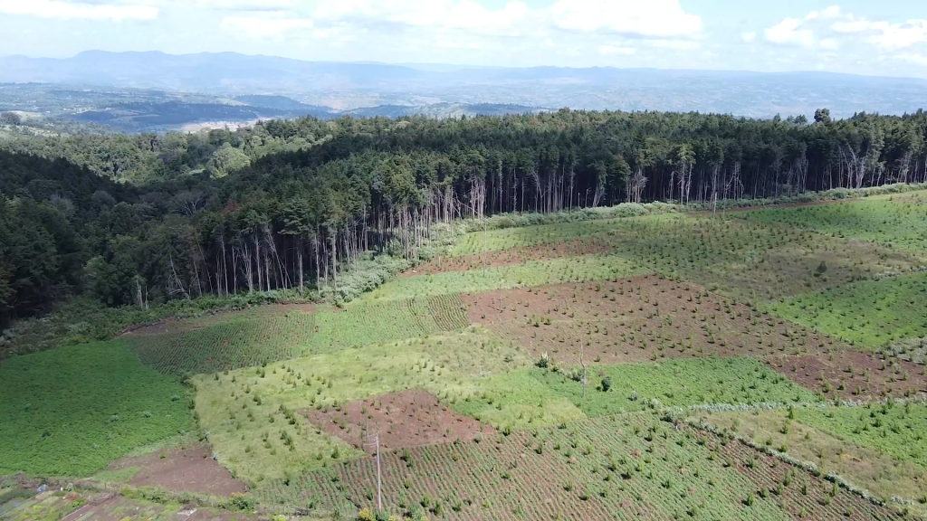 Initiative for Sustainable Landscapes - Kenya - IDH - the Sustainable ...