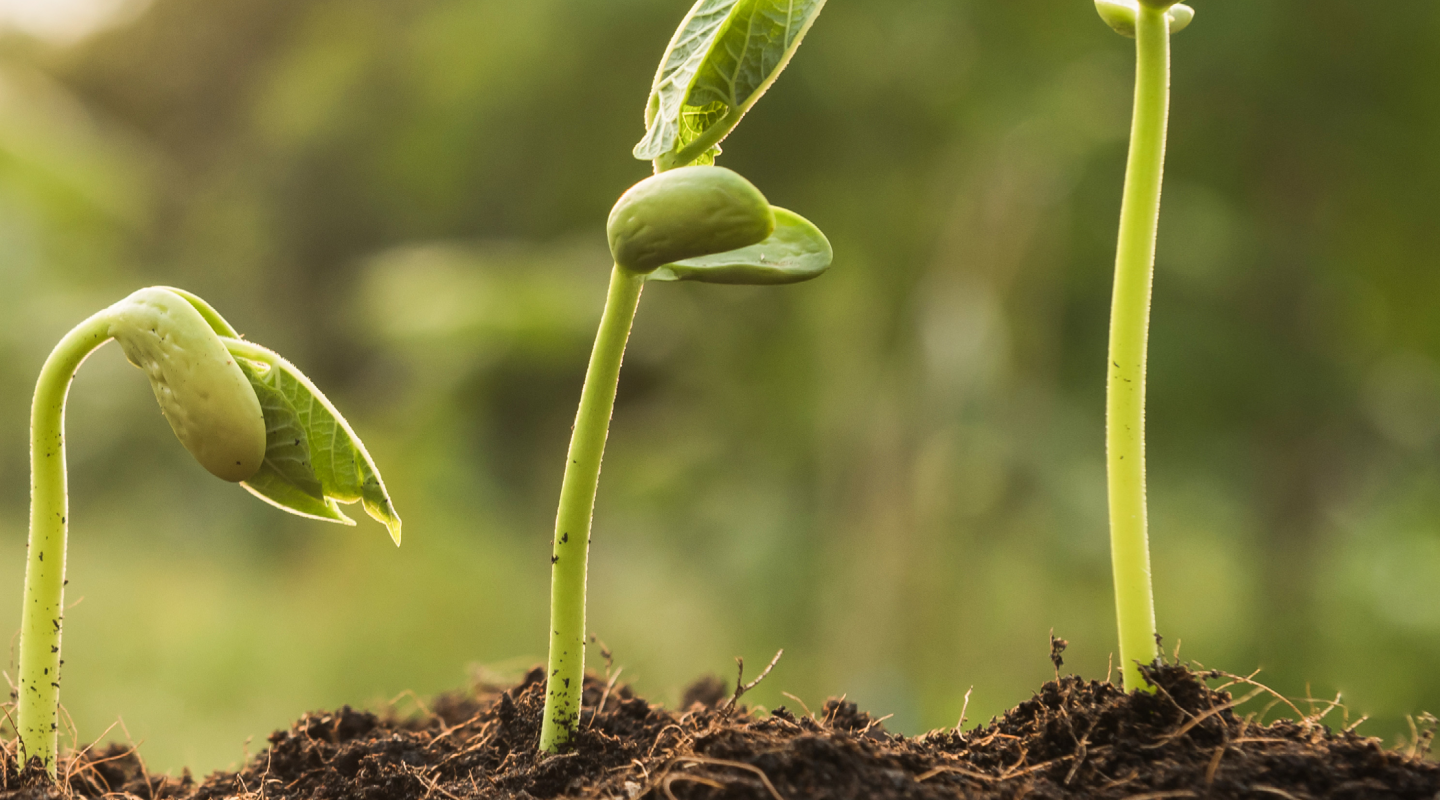 Farmfit - IDH - the Sustainable Trade Initiative
