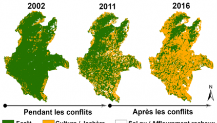 Cocoa & Forests Initiative - IDH - the Sustainable Trade Initiative