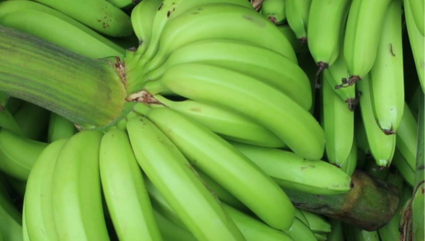 Sustainability Initiative Fruit and Vegetables - IDH - the sustainable ...