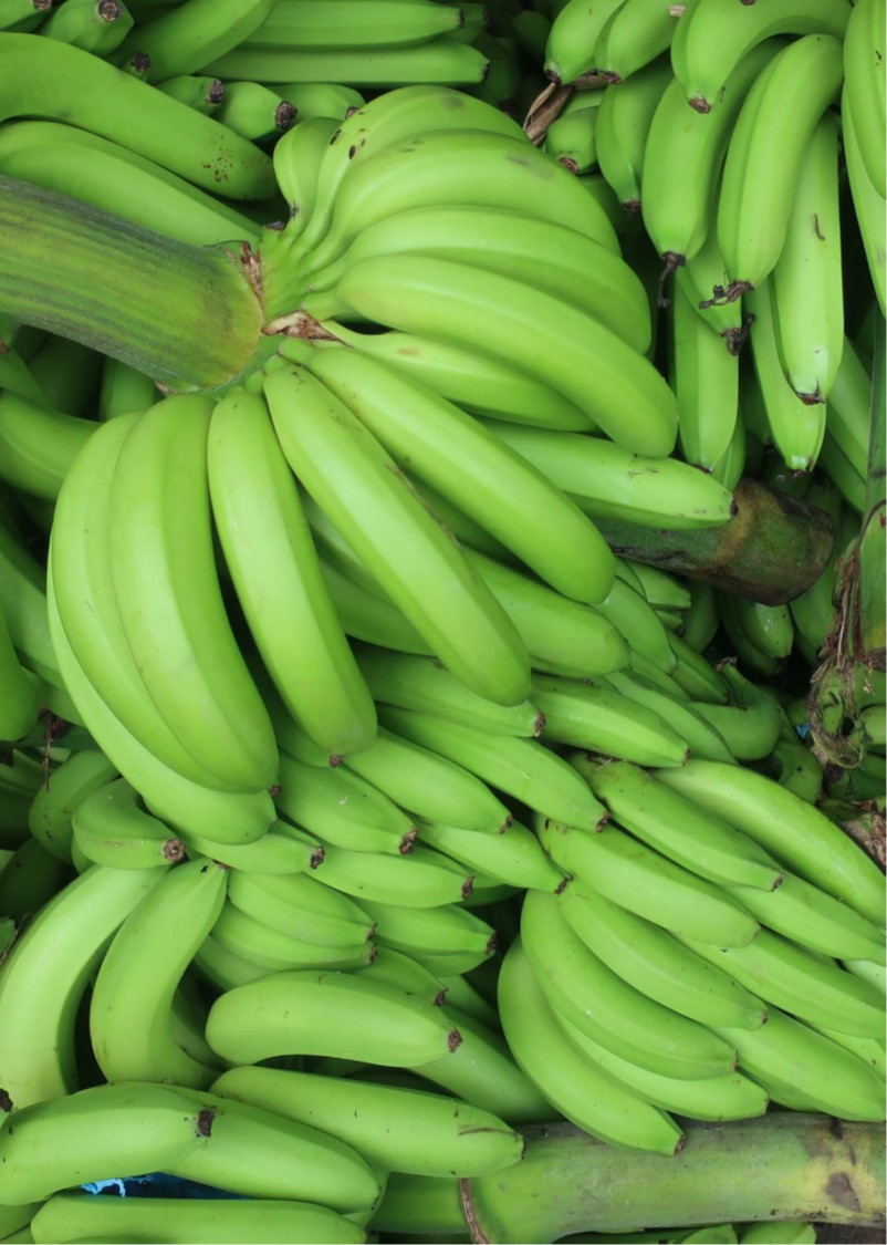 Sustainability Initiative Fruit and Vegetables - IDH - the Sustainable ...