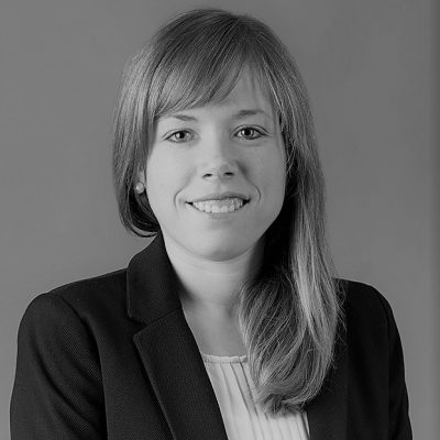 Steering Committee (SC) - IDH - the sustainable trade initiative