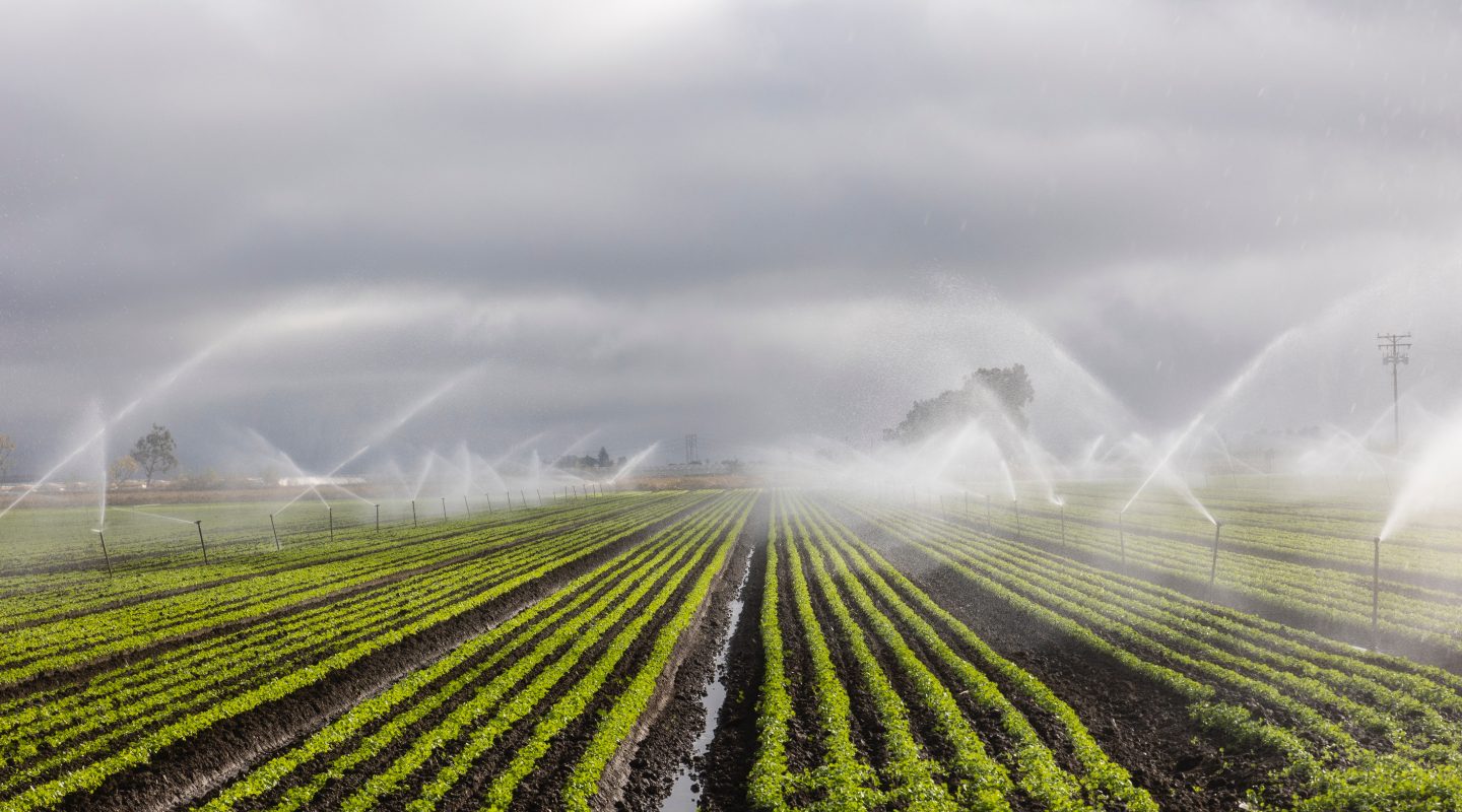 Sustainability Initiative Fruit and Vegetables - IDH - the sustainable ...