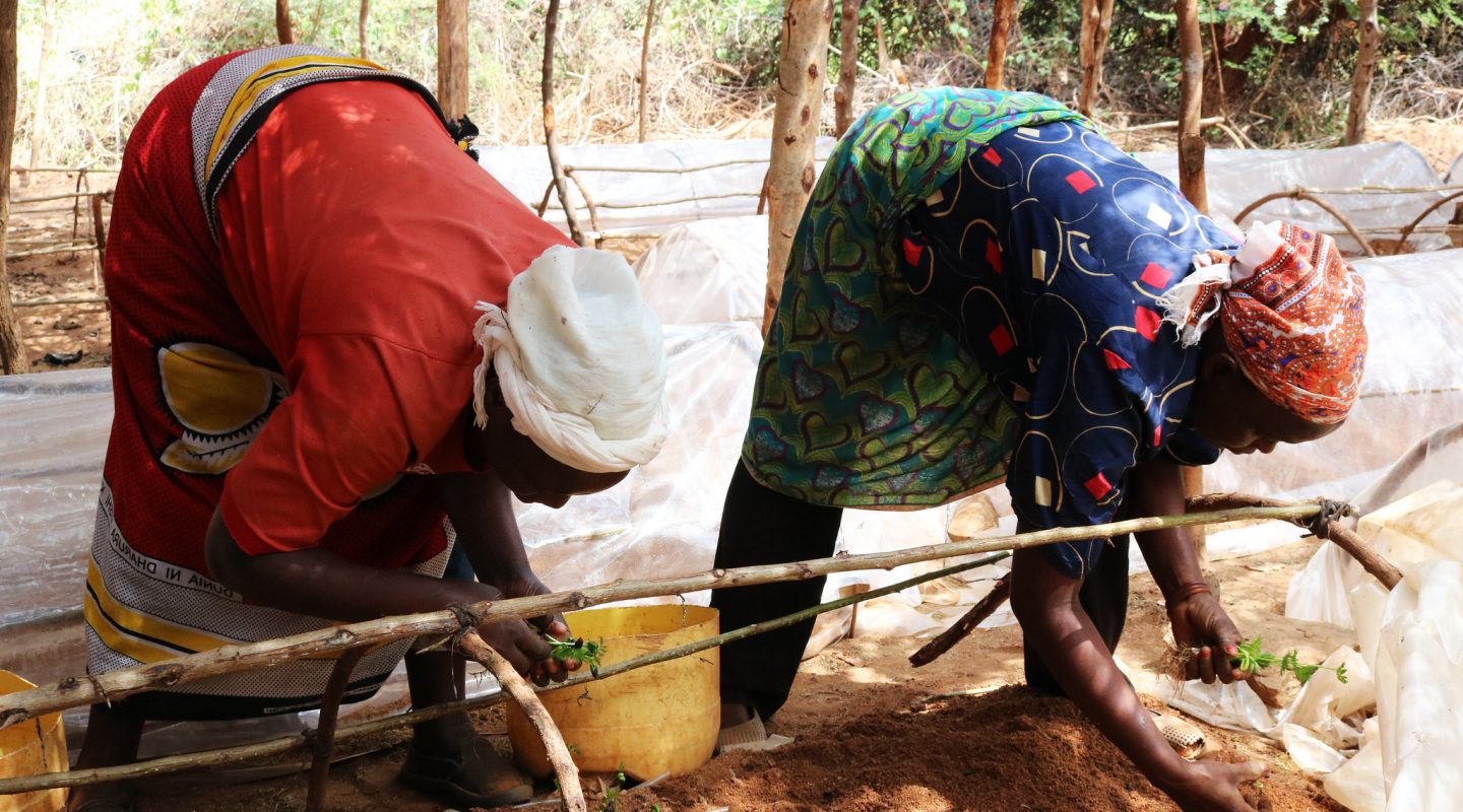 IDH Roadmap on Living Wages - IDH - the Sustainable Trade Initiative