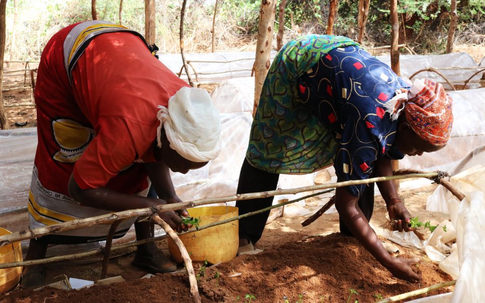 IDH Roadmap on Living Wages - IDH - the Sustainable Trade Initiative