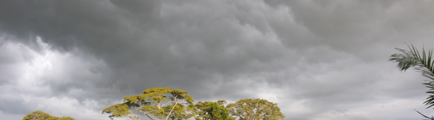 North West Landscape, Liberia - IDH - the sustainable trade initiative