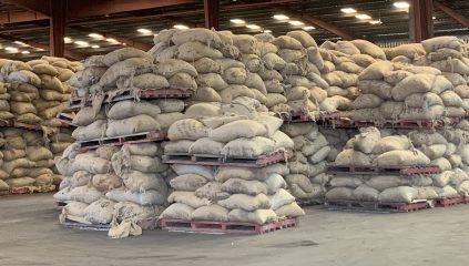 Beyond Chocolate - IDH - the sustainable trade initiative