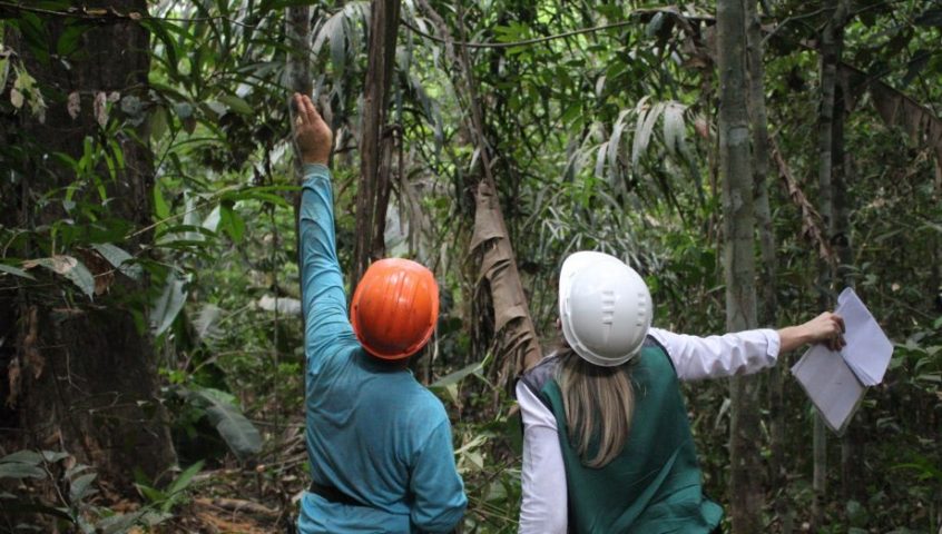 Mirova teams up with Aqre Group to develop agroforestry systems in ... Mirova teams up with Aqre Group to develop agroforestry systems in ...