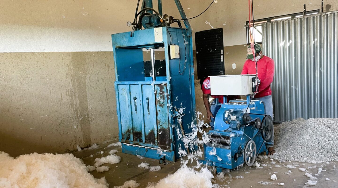 Better Cotton Growth and Innovation Fund - India - IDH - the ...