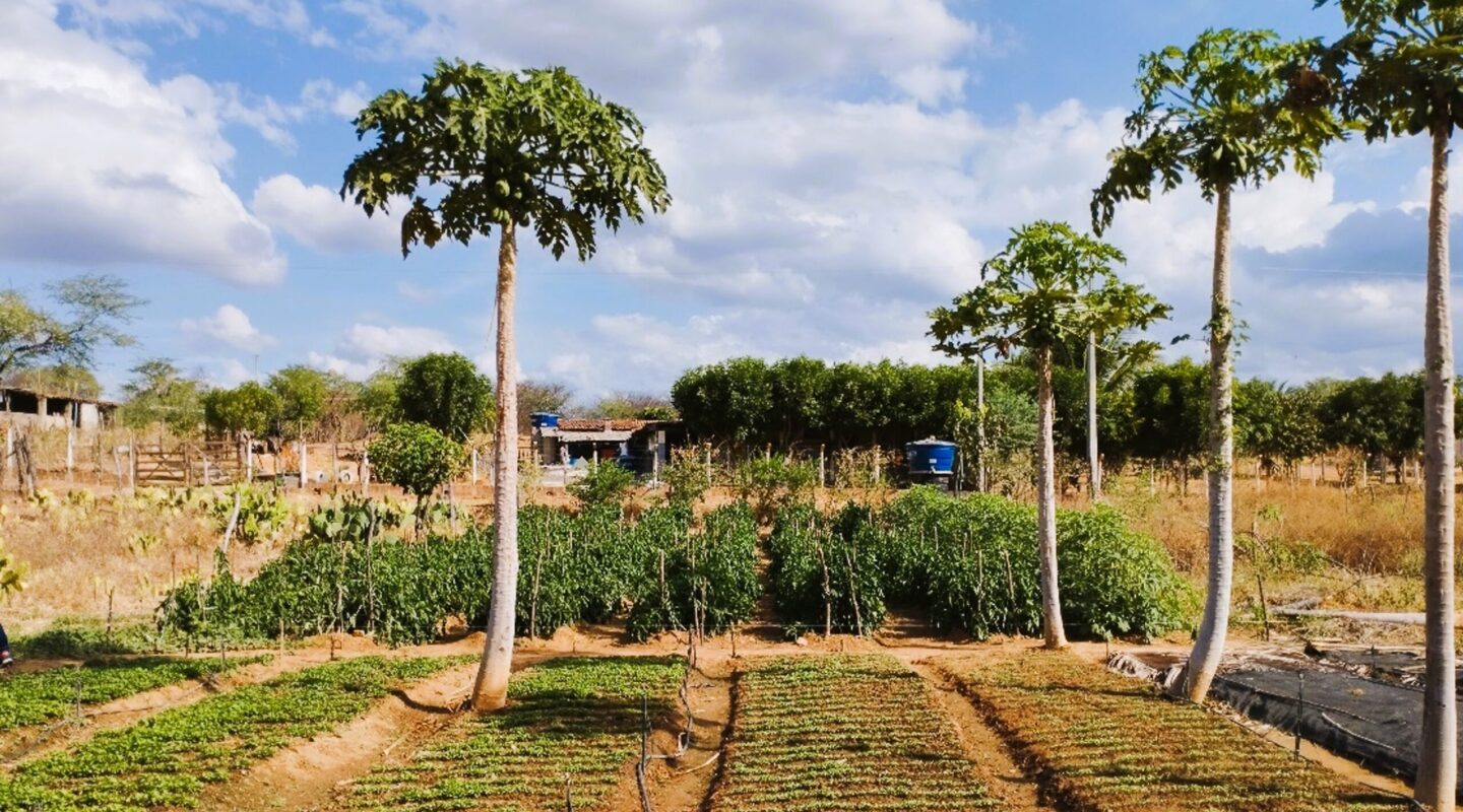 Attracting private investments for sustainable landscapes - IDH - the ...