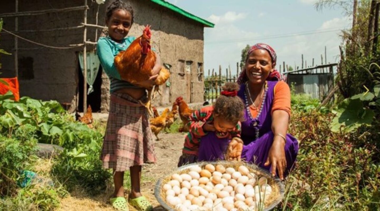 Farmfit Fund - IDH - the Sustainable Trade Initiative