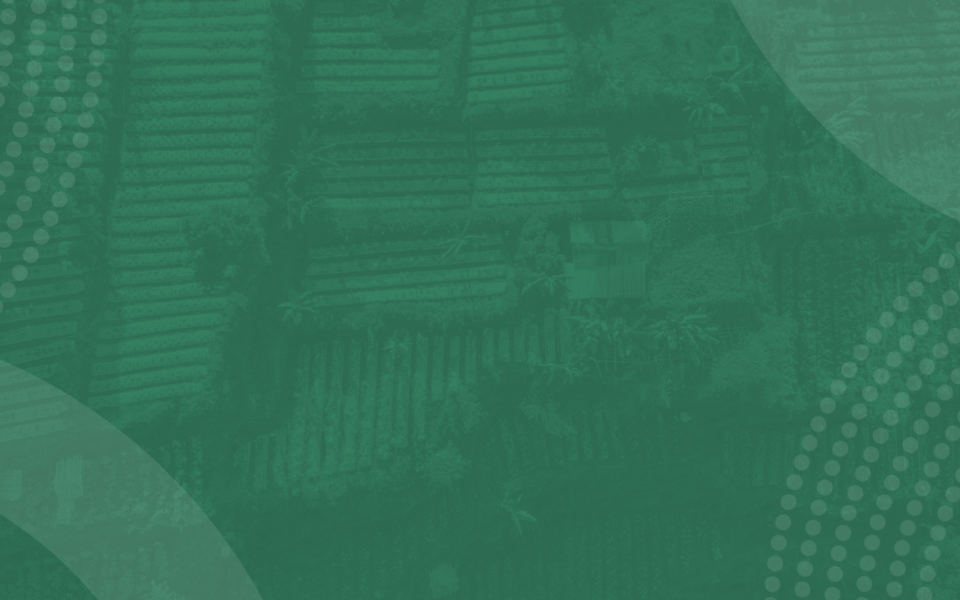 IDH Roadmap on Living Wages - IDH - the Sustainable Trade Initiative