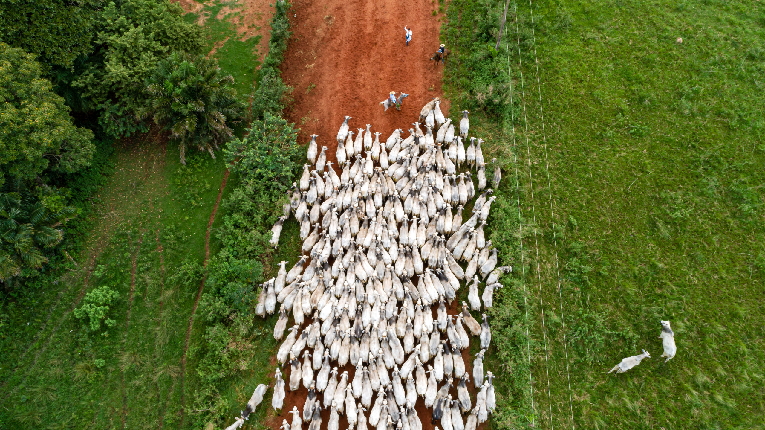 Step 2: Measure the Environmental Footprint - IDH - the Sustainable ...