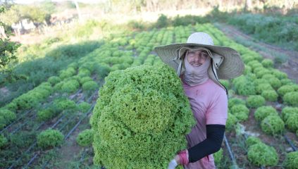 Farmfit - IDH - the Sustainable Trade Initiative