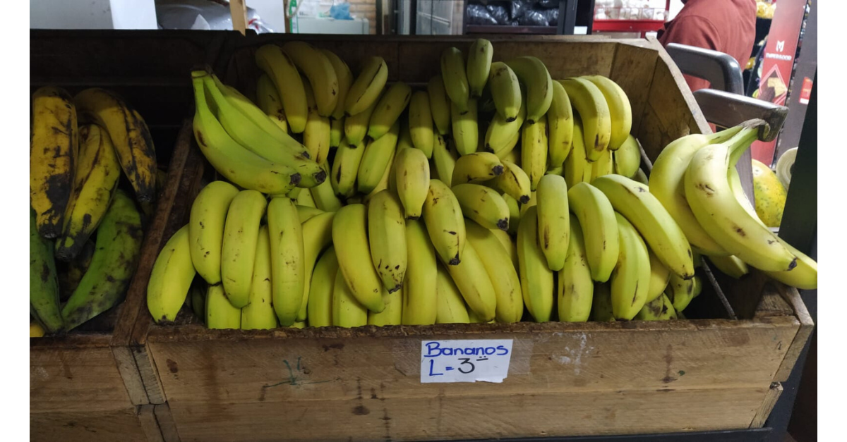 Persistence is key; Lidl Germany and its banana supply chain - IDH ...