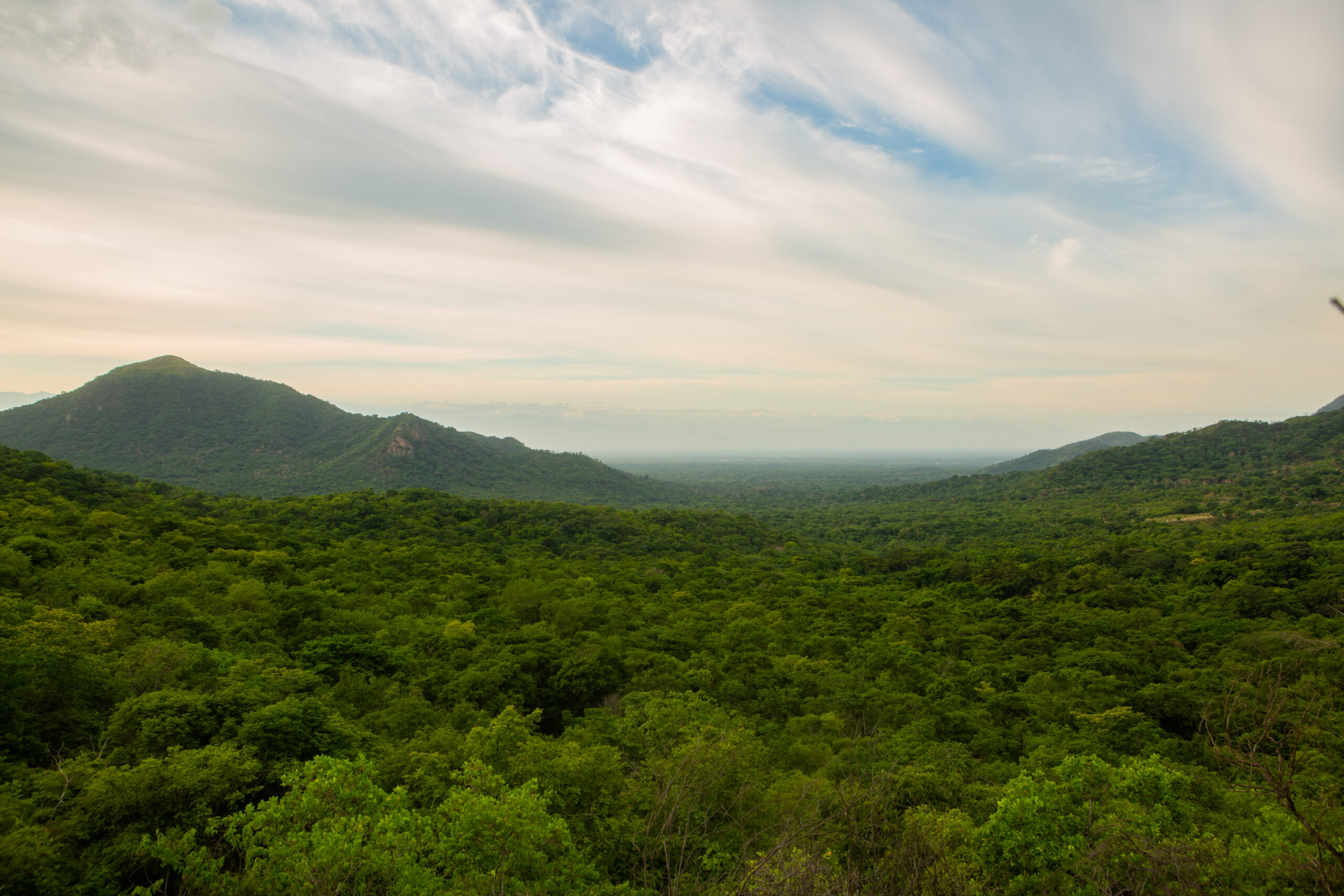 Terrasos - IDH - the Sustainable Trade Initiative