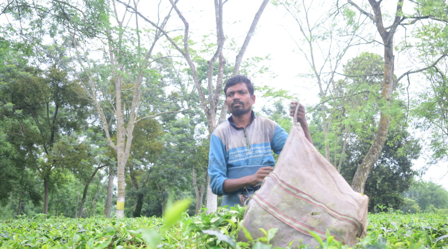 Roadmap on Living Income - IDH - the Sustainable Trade Initiative