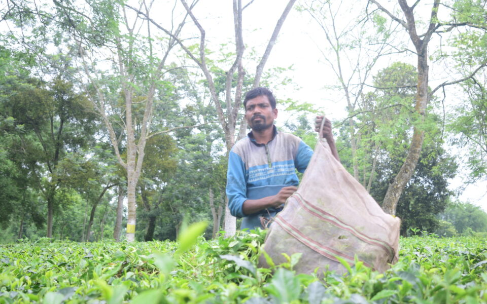 Roadmap on Living Income - IDH - the Sustainable Trade Initiative