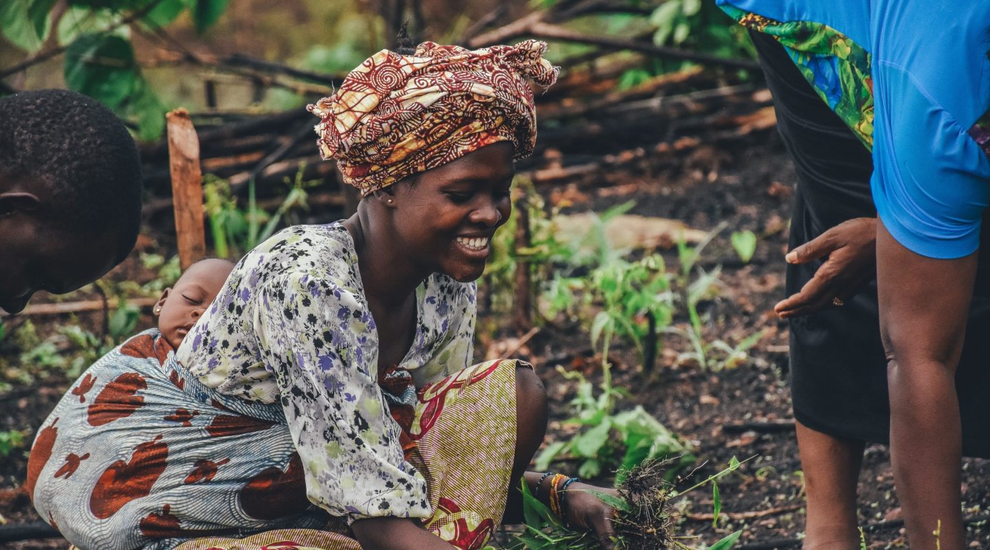 Farmfit Fund - IDH - the Sustainable Trade Initiative